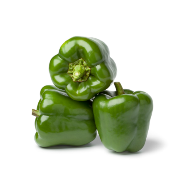 [k] Poivron vert [env. 1.2kg] | Aubut (323)