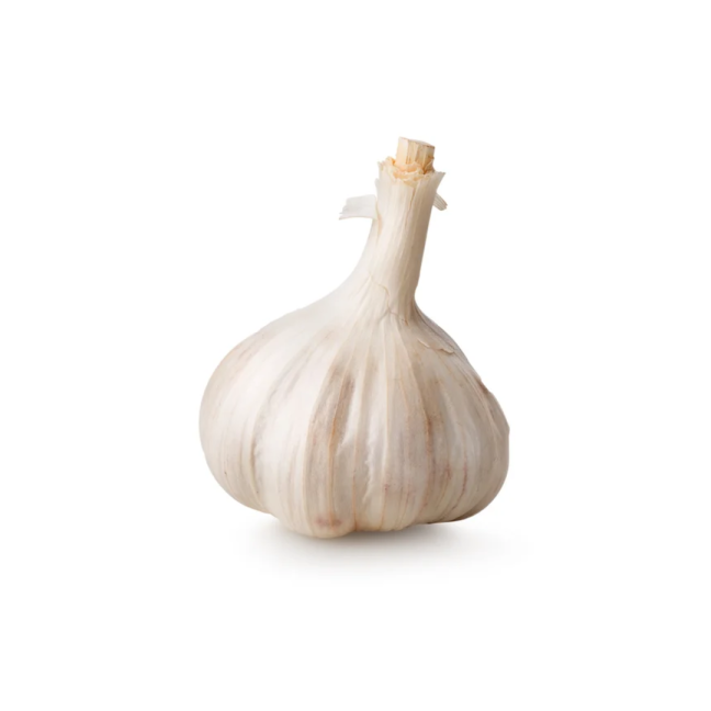Ail colossal [env. 0.4kg] | Aubut (346)