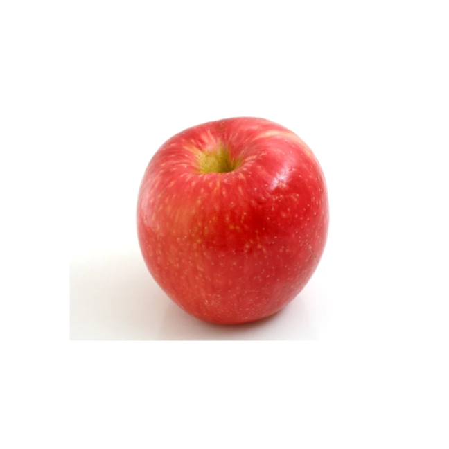 Jersey Mac apple | Aubut (1534)