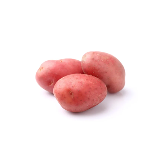 Patate rouge | Aubut (1466)