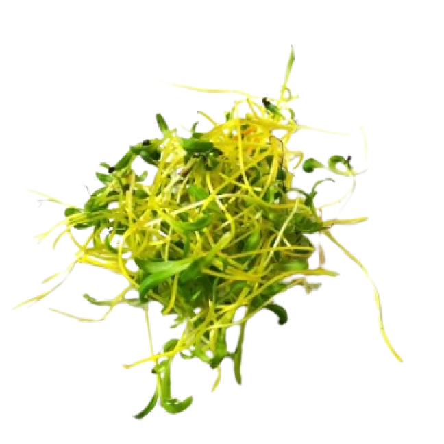 Yellow beet micro sprout - Brin Nature | Aubut (1758)