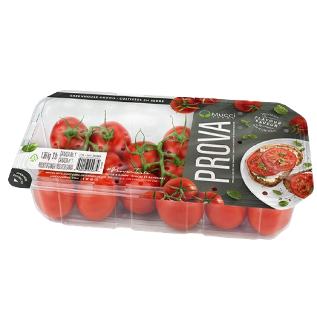 Prova Tomato | Aubut (16348)