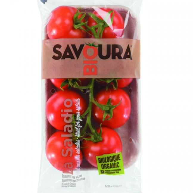 Red tamarillo | Aubut (10543)