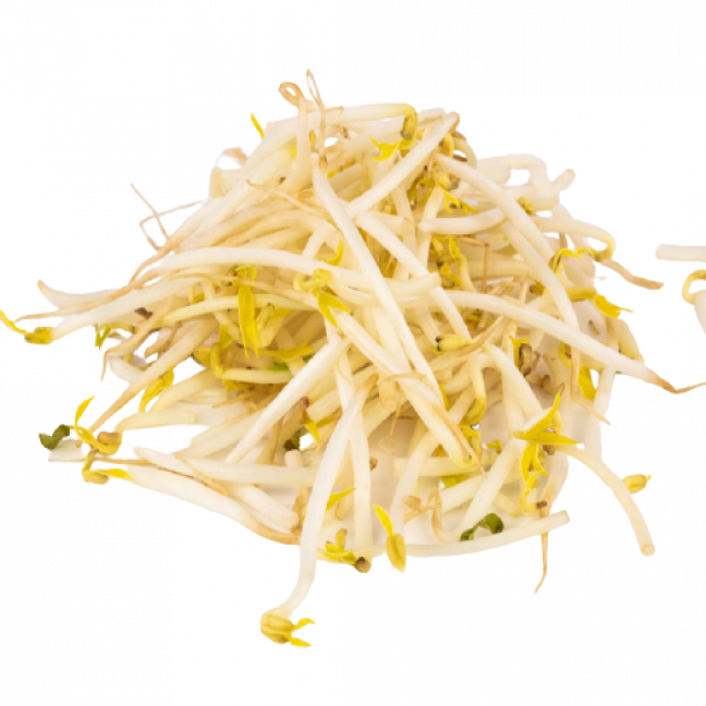 [k] Fève germée chop suey [env. 1kg] | Aubut (315)